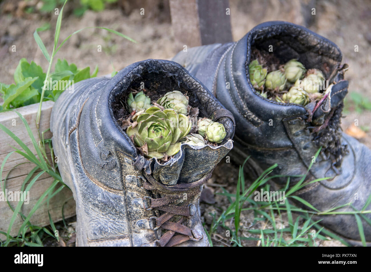 Discarded clothes hi-res stock photography and images - Alamy