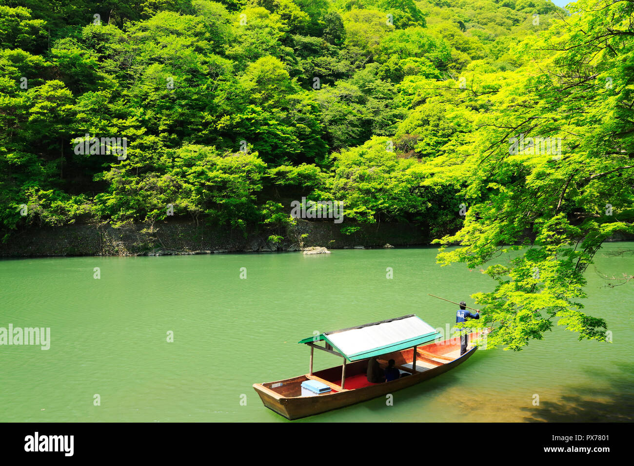 Fresh green of Arashiyama in Kyoto Stock Photo - Alamy