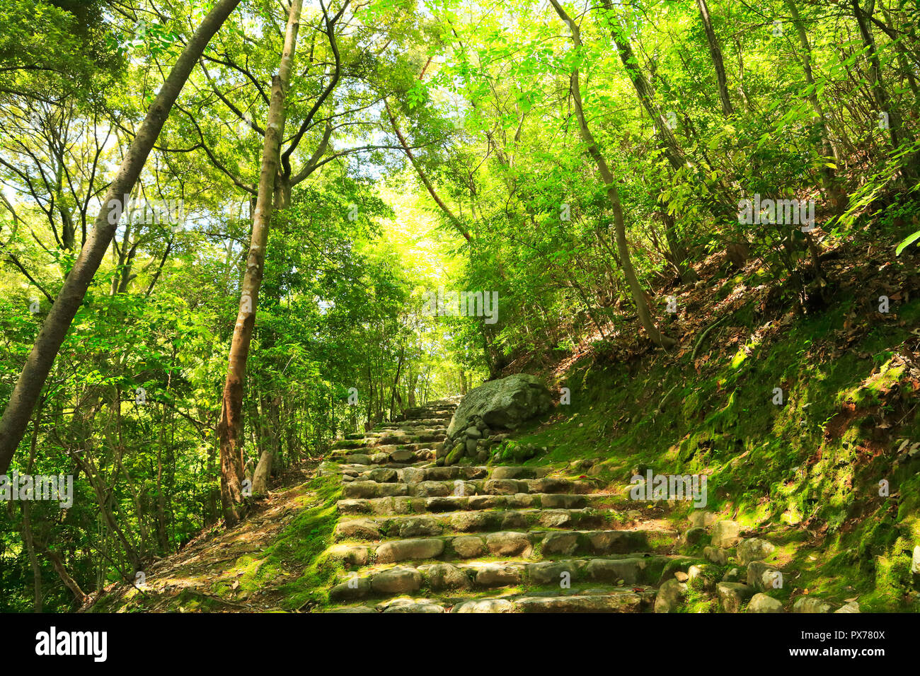 Fresh green of Arashiyama in Kyoto Stock Photo - Alamy