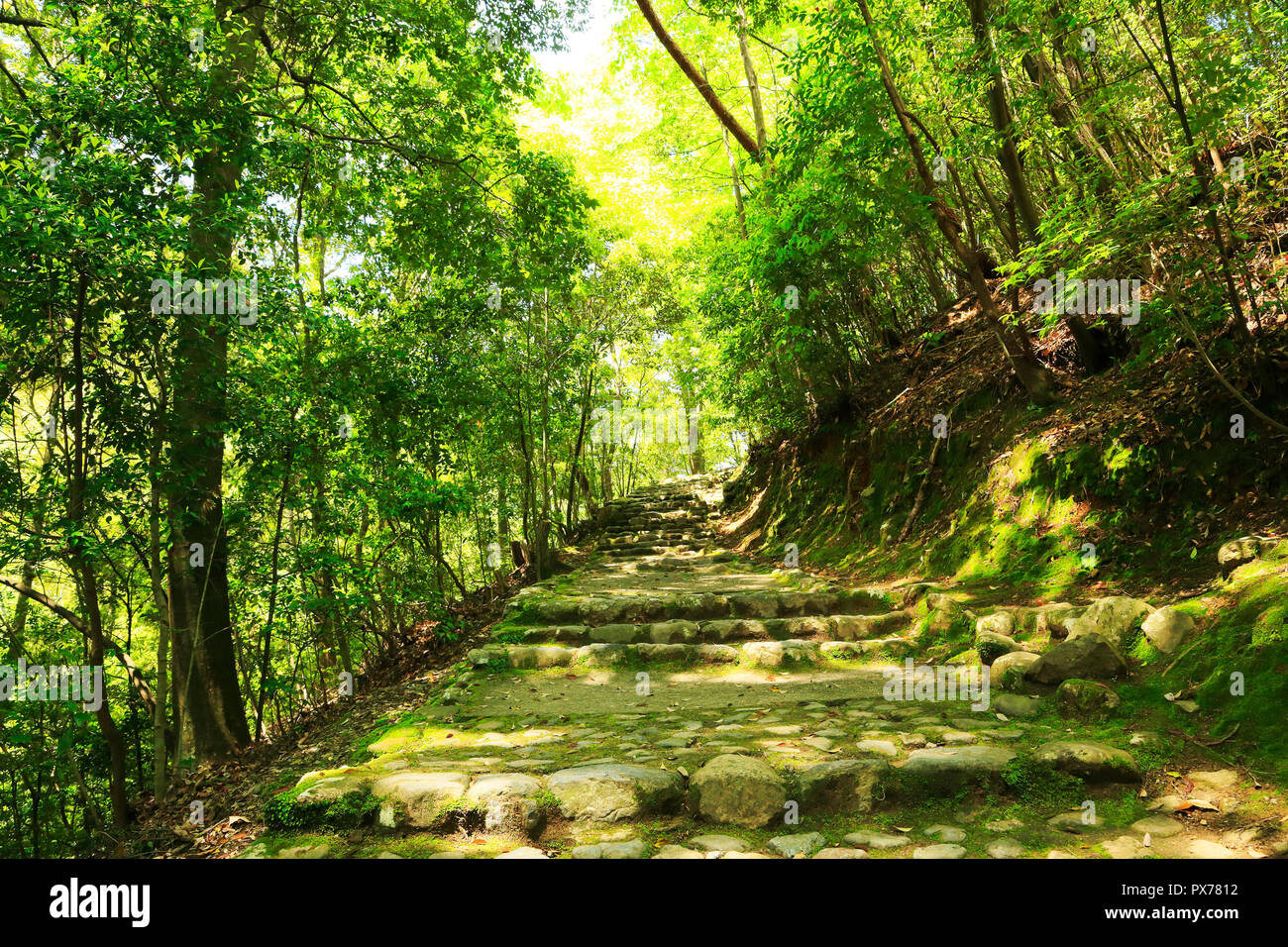 Fresh green of Arashiyama in Kyoto Stock Photo - Alamy