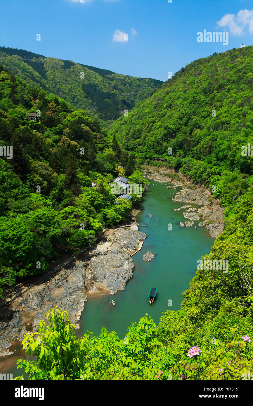Fresh green of Arashiyama in Kyoto Stock Photo - Alamy