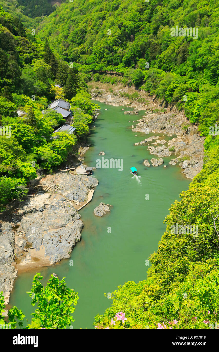 Fresh green of Arashiyama in Kyoto Stock Photo - Alamy