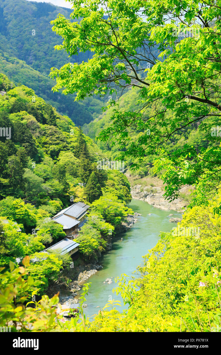 Fresh green of Arashiyama in Kyoto Stock Photo - Alamy