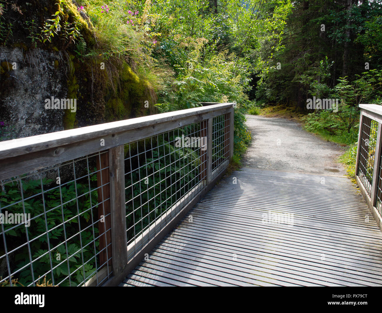Alaska bridge trail hi-res stock photography and images - Alamy