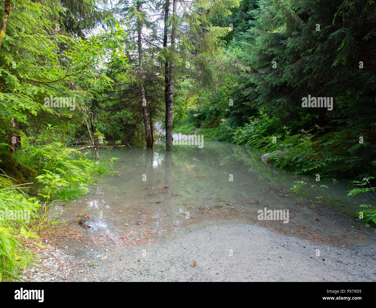 Flooded Bush Walk Track Stock Photo - Alamy