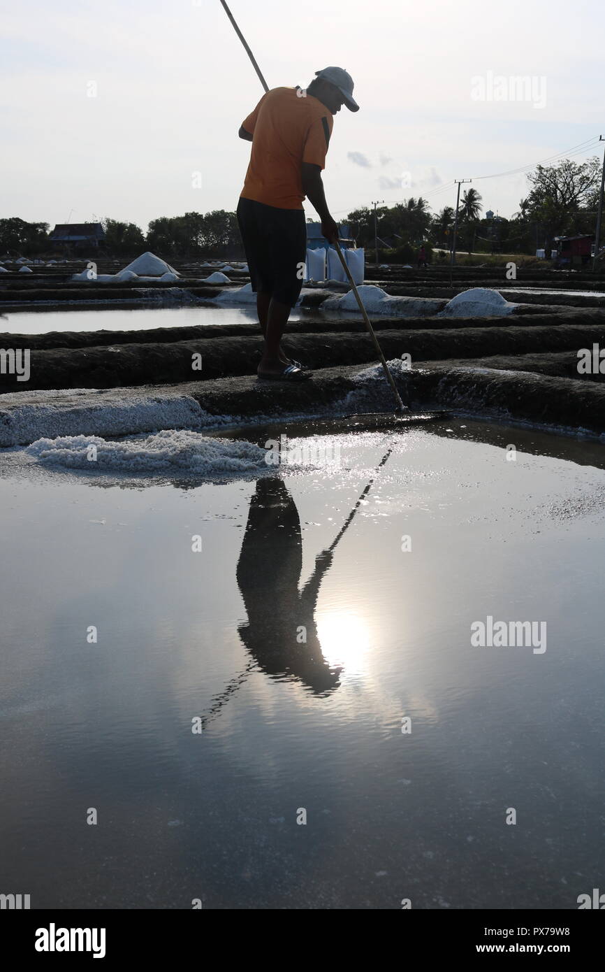 Water reflection of a young man who is harvesting salt Stock Photo - Alamy
