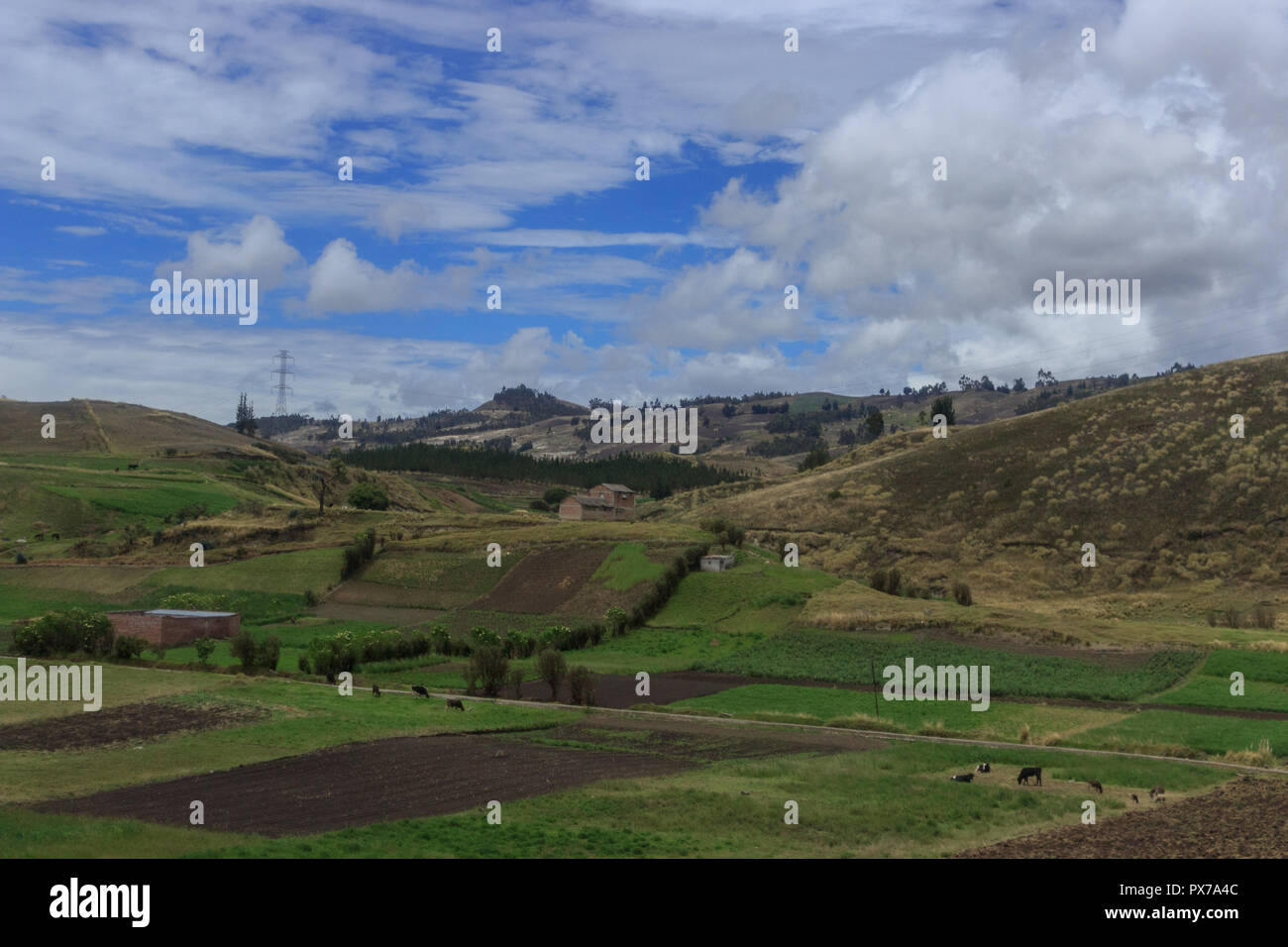 roadside view on the landscape of ecuador Stock Photo - Alamy