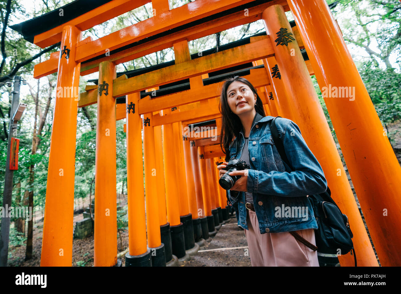 asian photographer taking picture of the Japanese red gate by her dslr ...