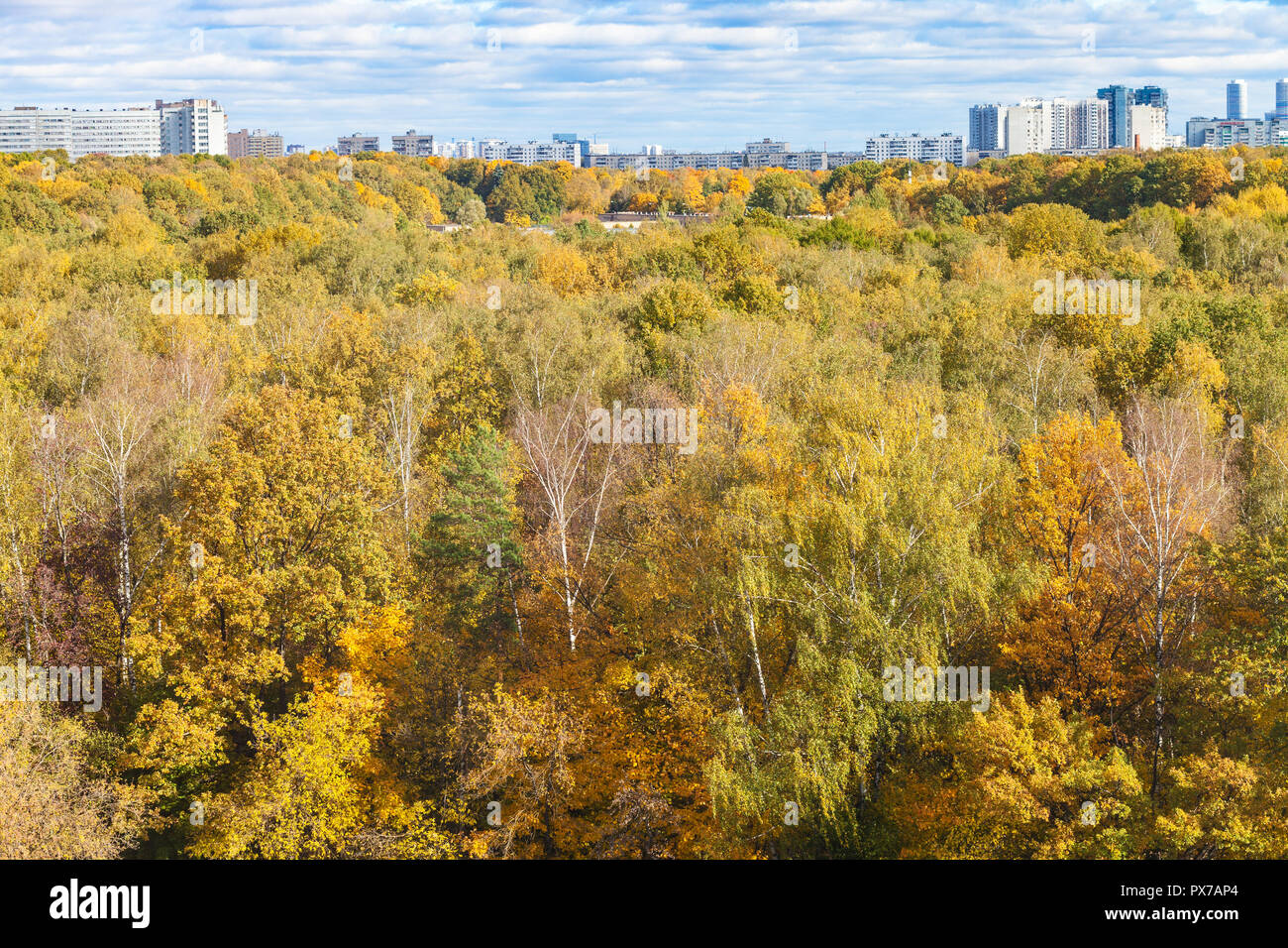 colorful forest of Timiryazevskiy park and Moscow city district in ...