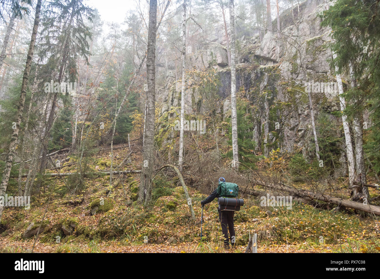 Hiker on the forest Stock Photo - Alamy