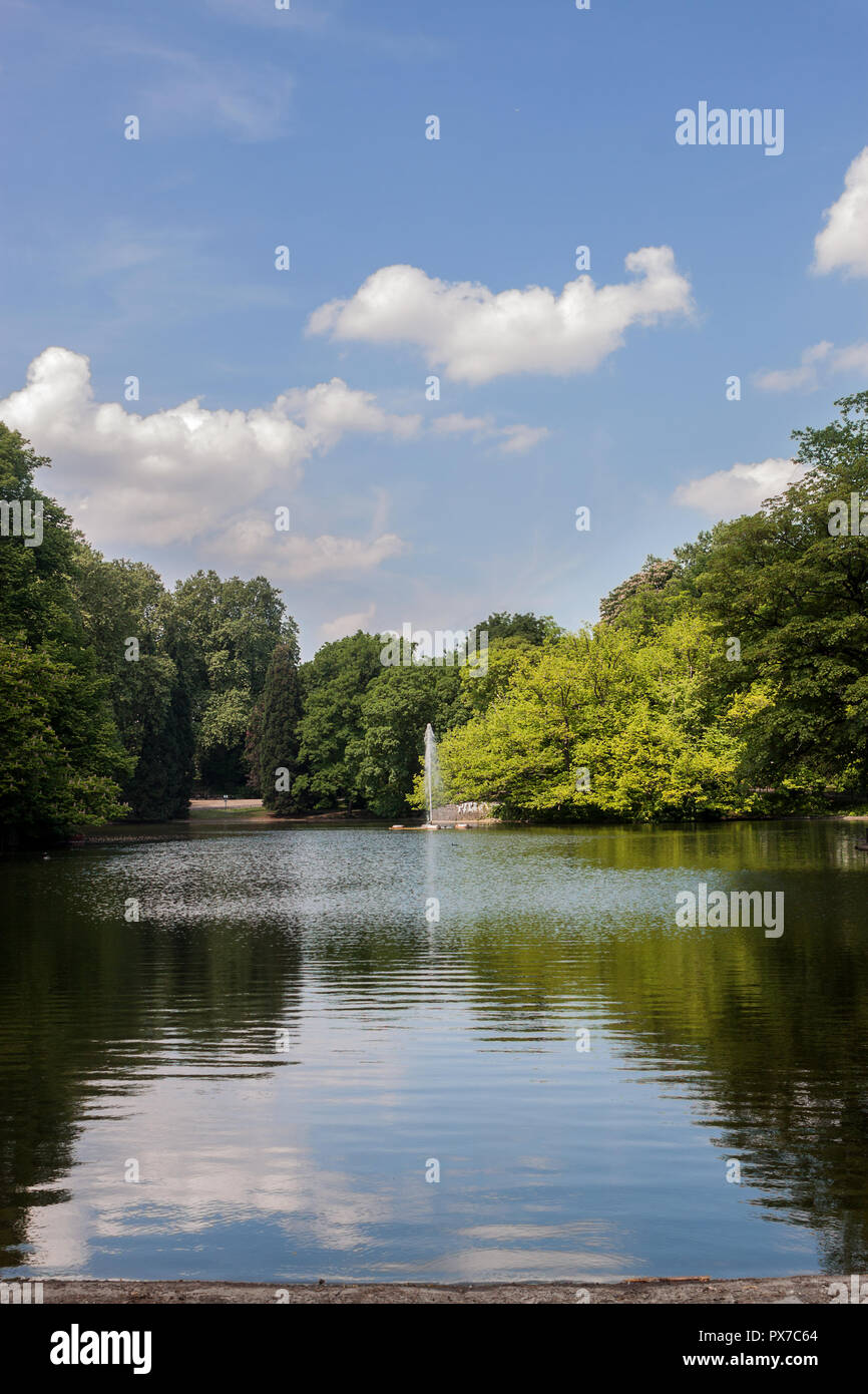 Beautiful park scene in public park with green grass field, green tree ...