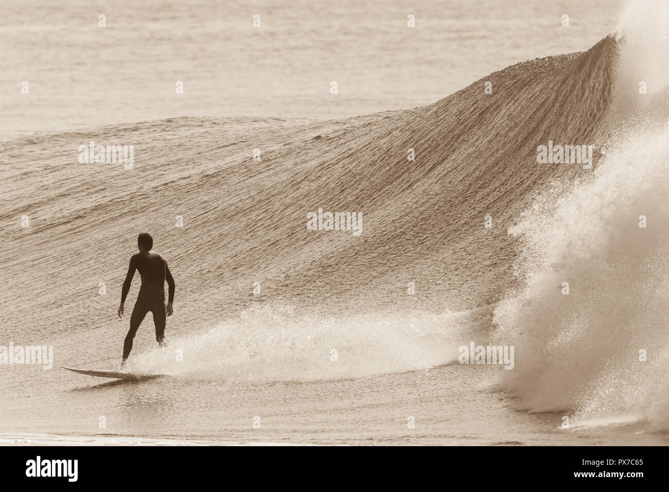 Surfer surfing rear view ride on ocean wave in sepia vintage tone ...