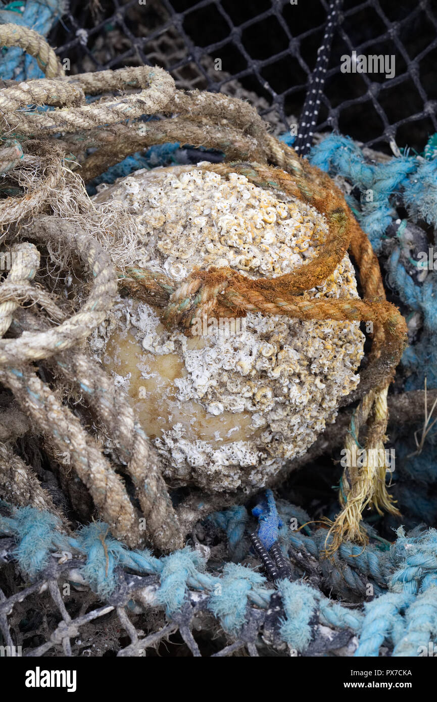 Buoy barnacles hi-res stock photography and images - Alamy