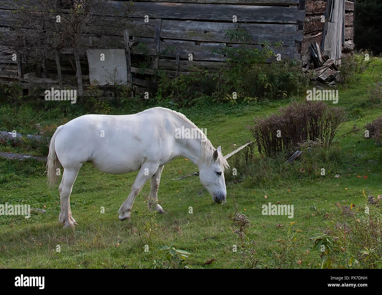 Falling unicorn hi-res stock photography and images - Alamy