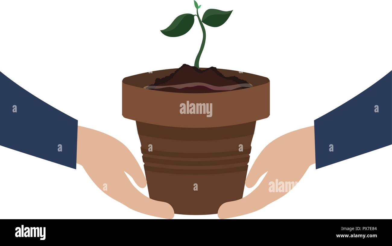 hands lifting tree plant cultivated in pot vector illustration design ...
