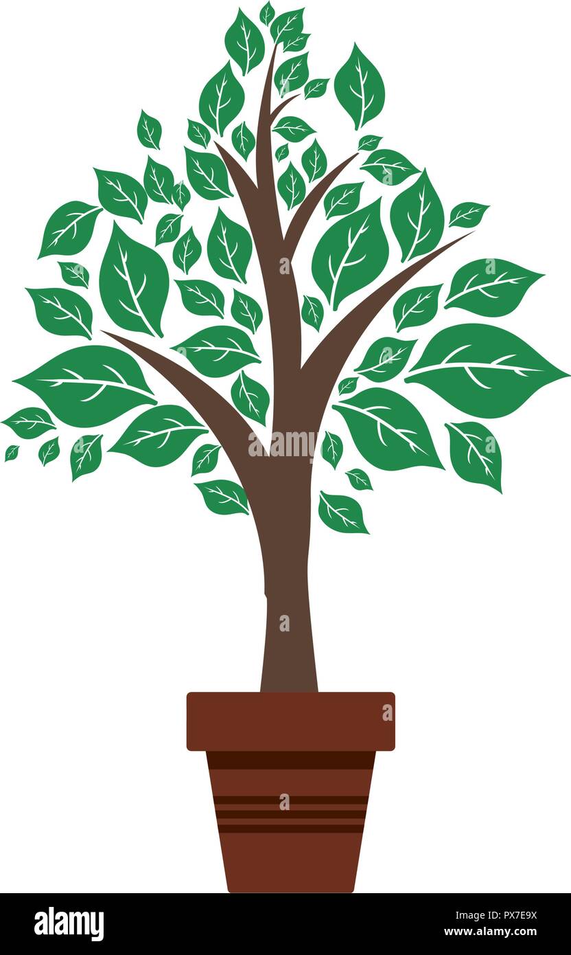 tree plant cultivated in pot vector illustration design Stock Vector ...