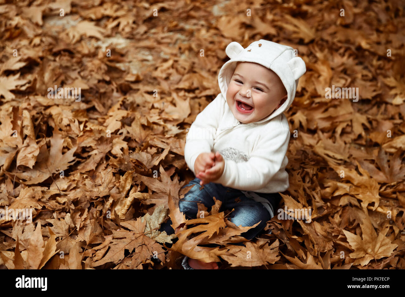 Cute little boy sitting in the pile of dry tree leaves and laughing ...