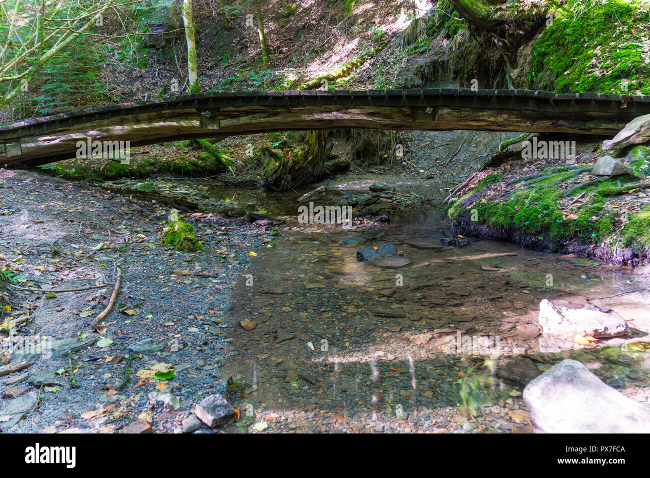 Moss covered bridge hi-res stock photography and images - Alamy