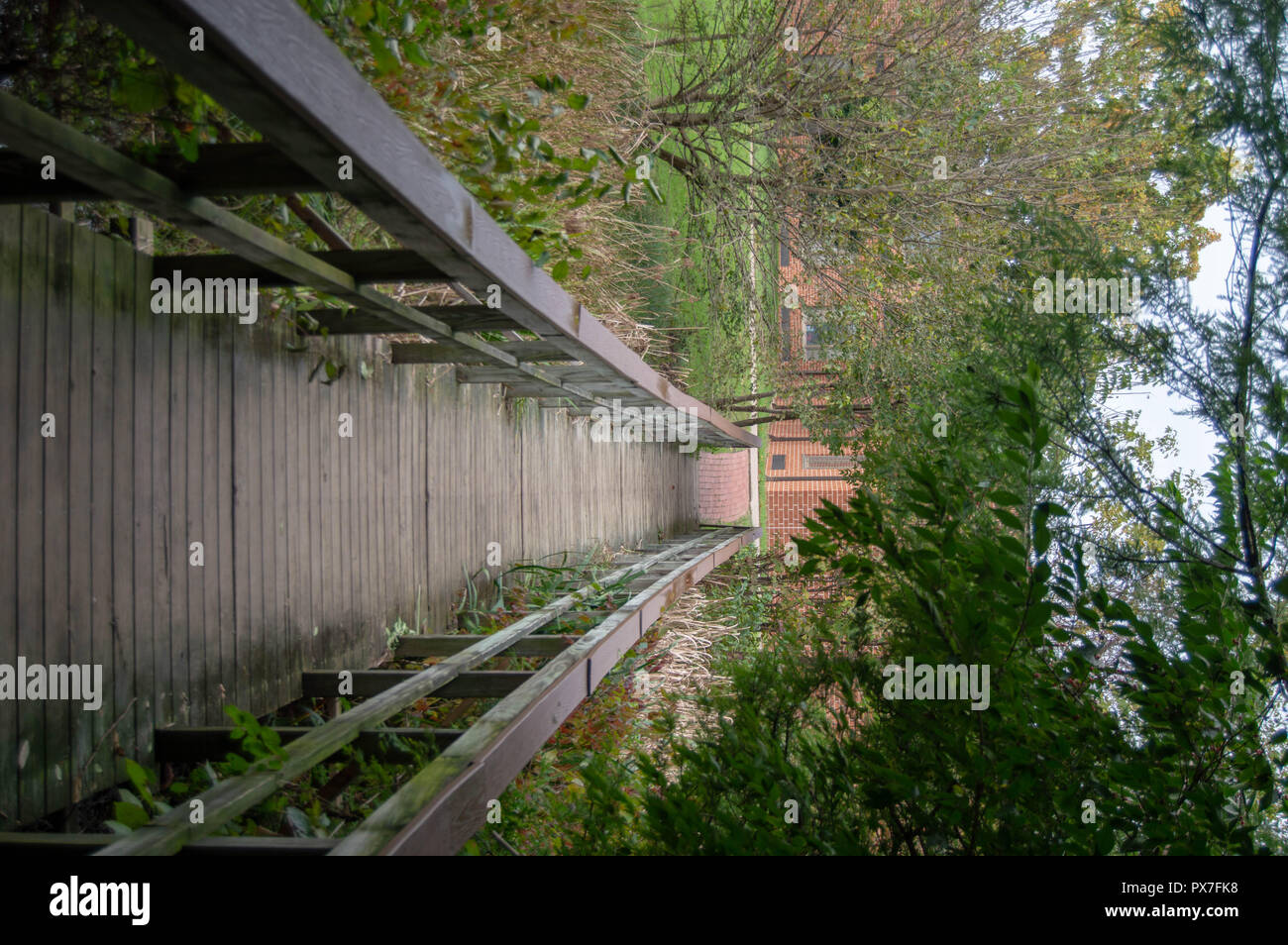 Bridge in the forest Stock Photo - Alamy