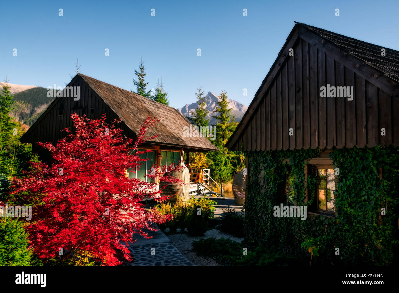 Traditional mountain cottages and Krivan mountain peak, Vysoke Tatry ...