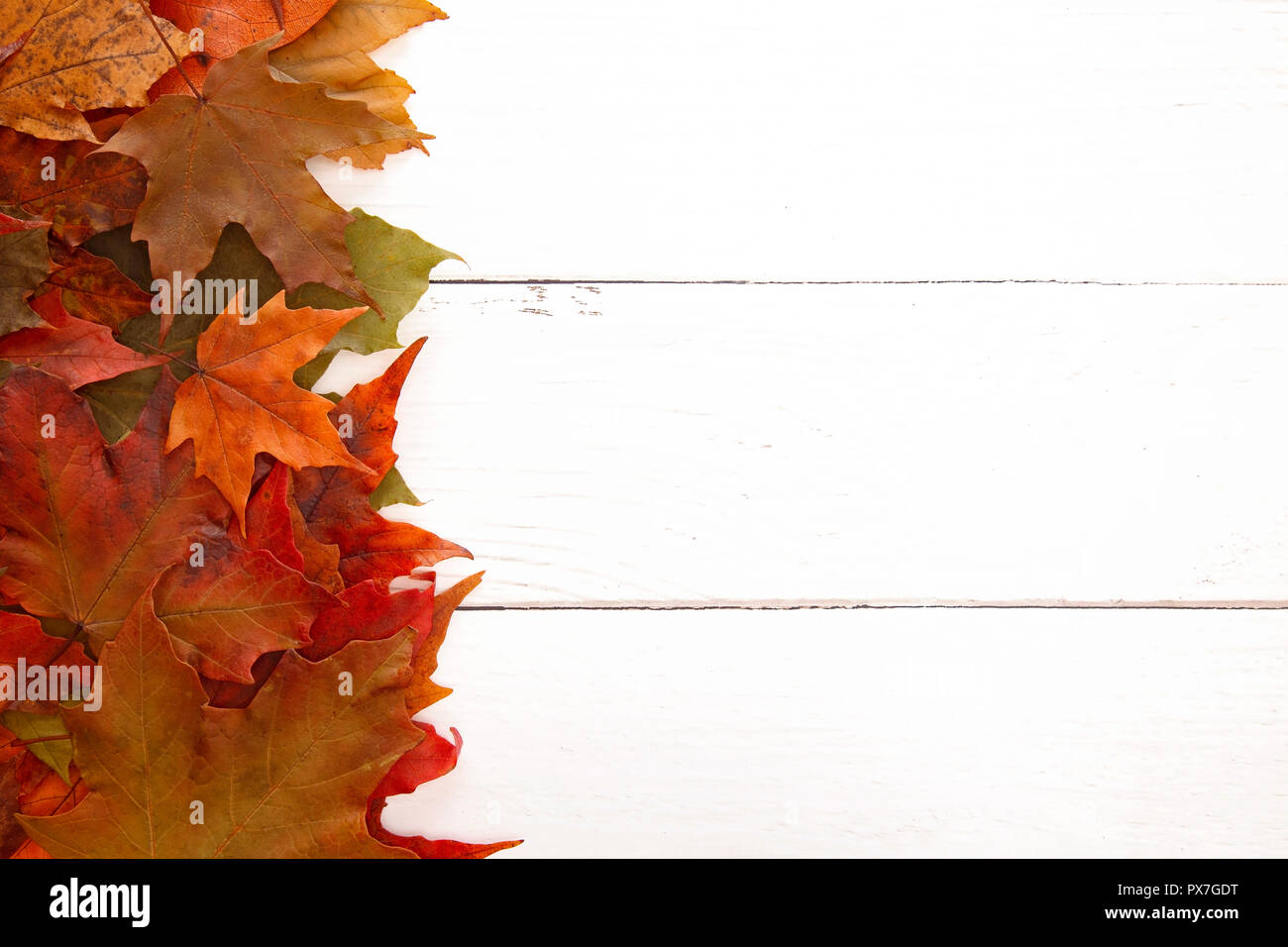 Fall border hi-res stock photography and images - Alamy