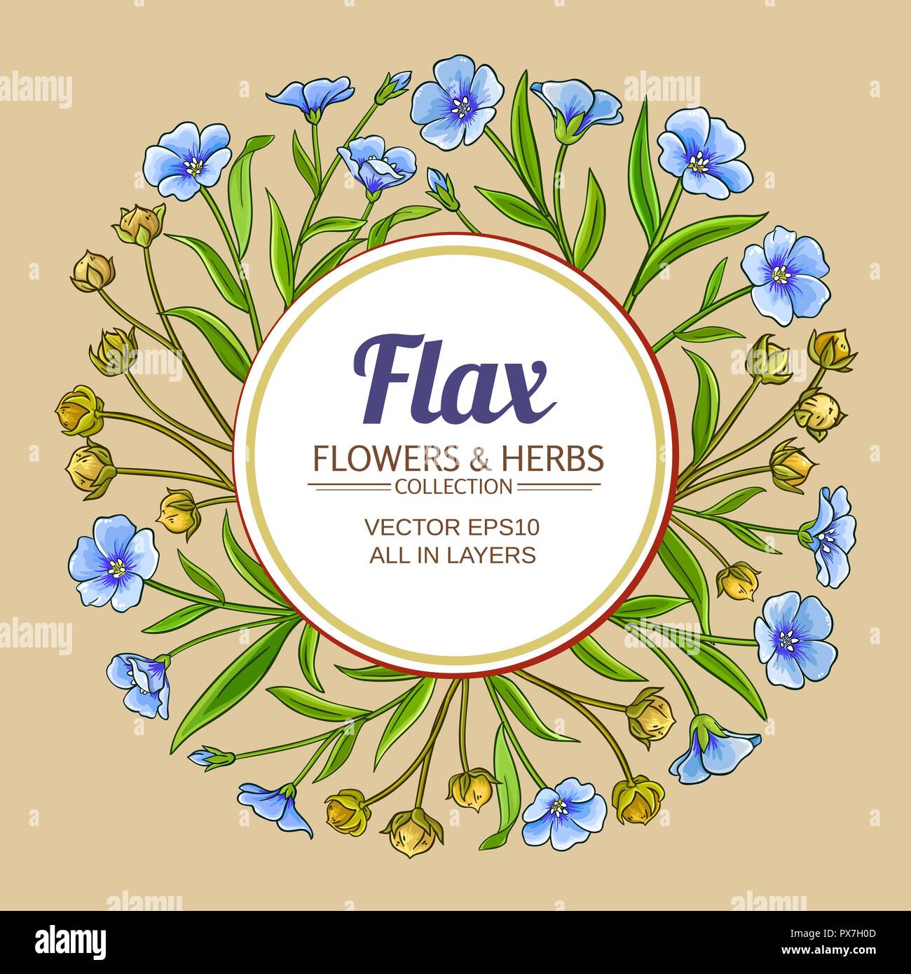 flax vector frame on color background Stock Vector Image & Art - Alamy