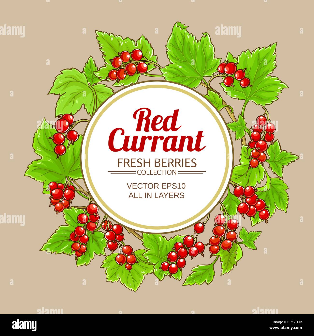 Blackcurrant background Stock Vector Images - Alamy