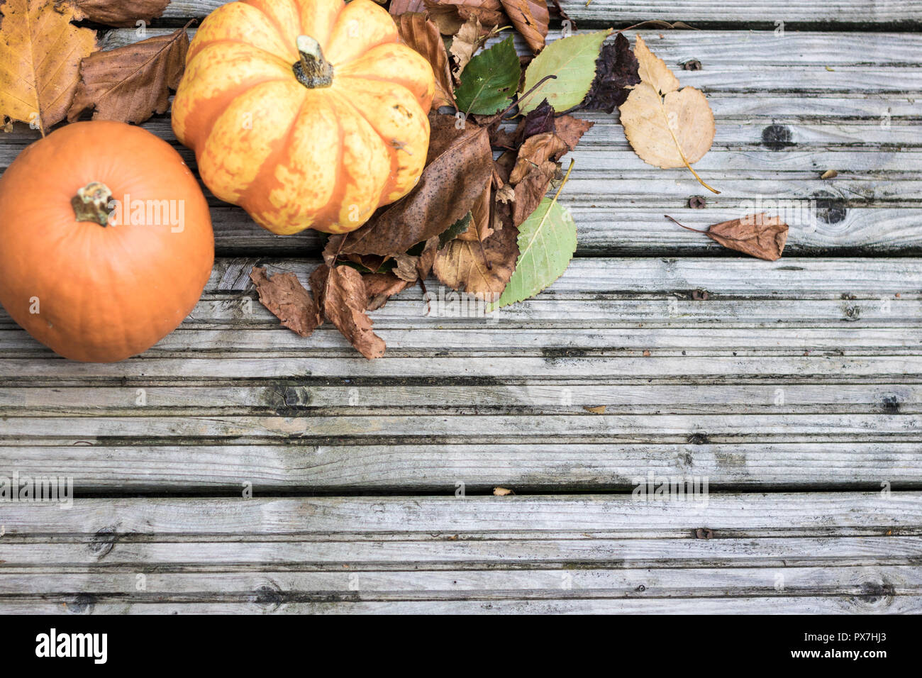 Autumn Concept, Halloween Concept, flatlay mock up, pumpkins falling ...
