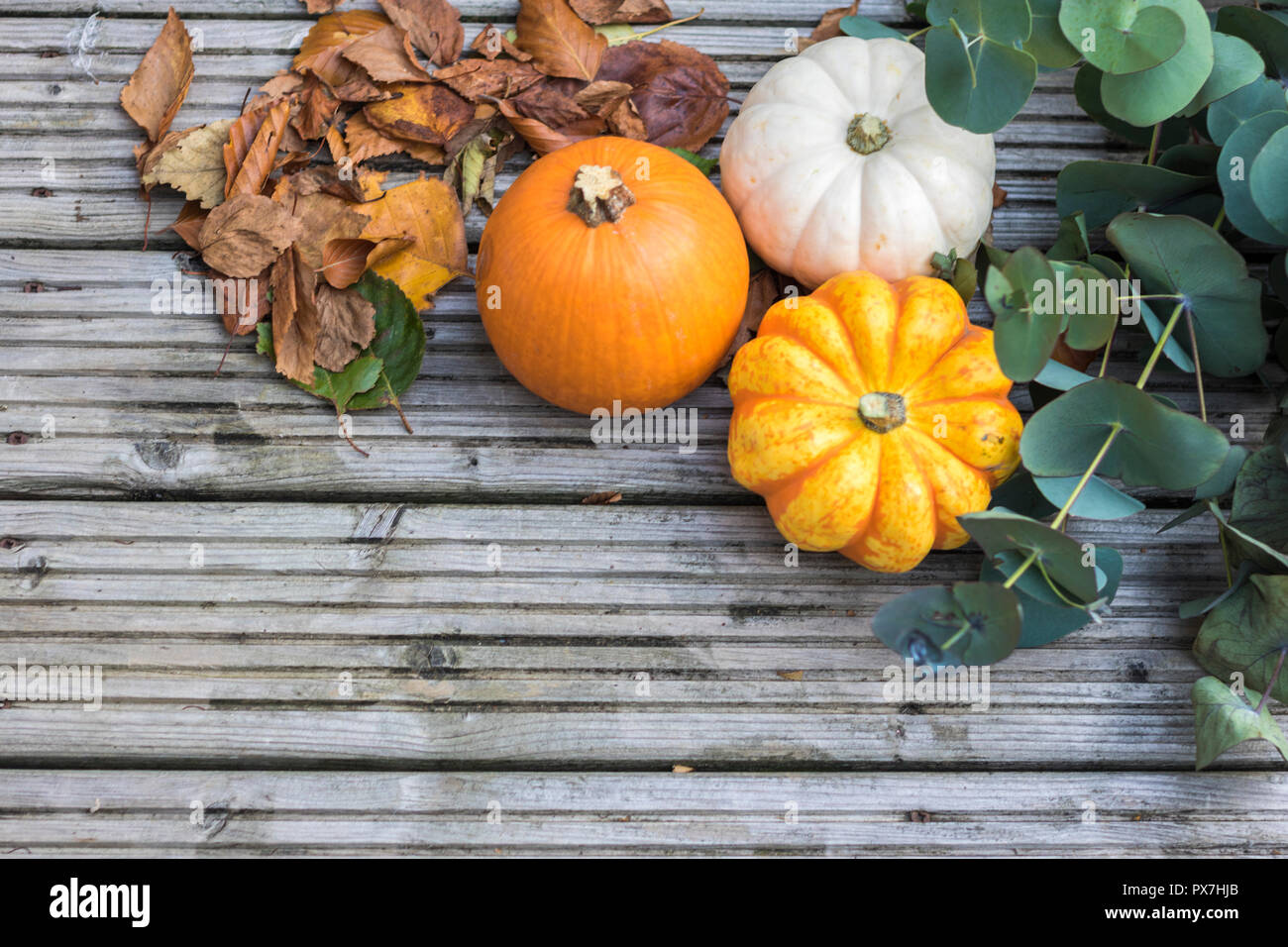 Autumn Concept, Halloween Concept, flatlay mock up, pumpkins falling ...