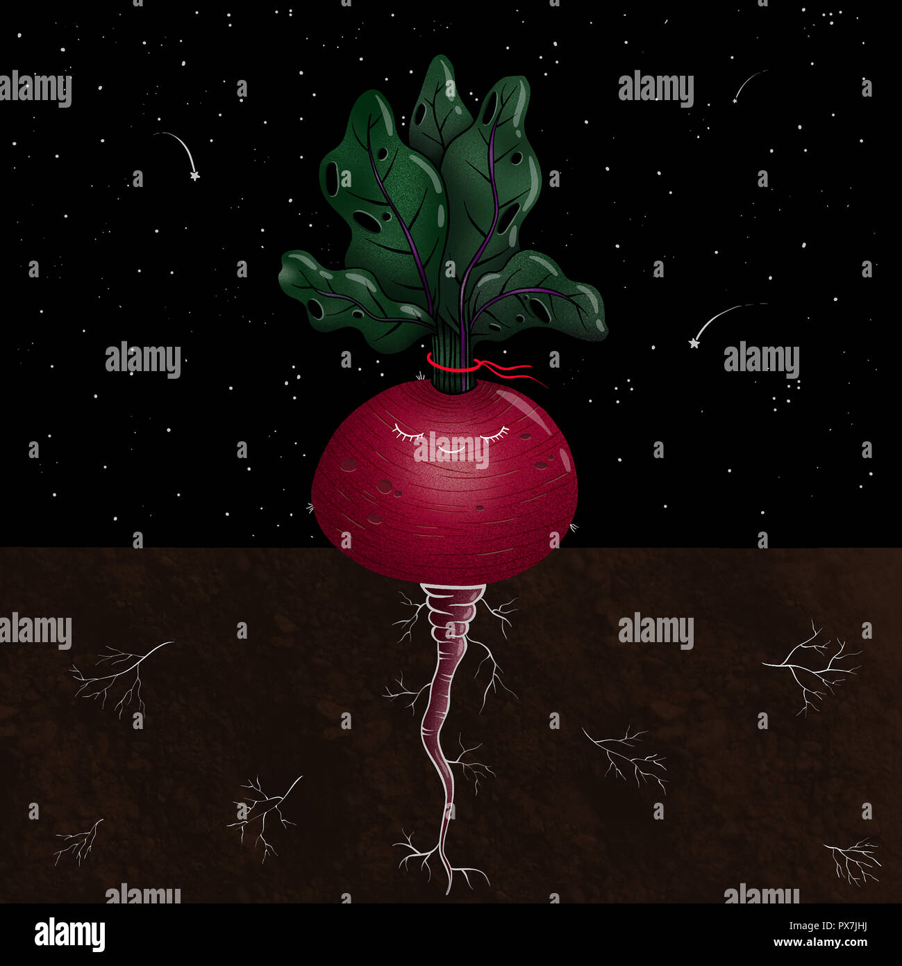 cartoon beet with roots growing at night in the garden on the black ...