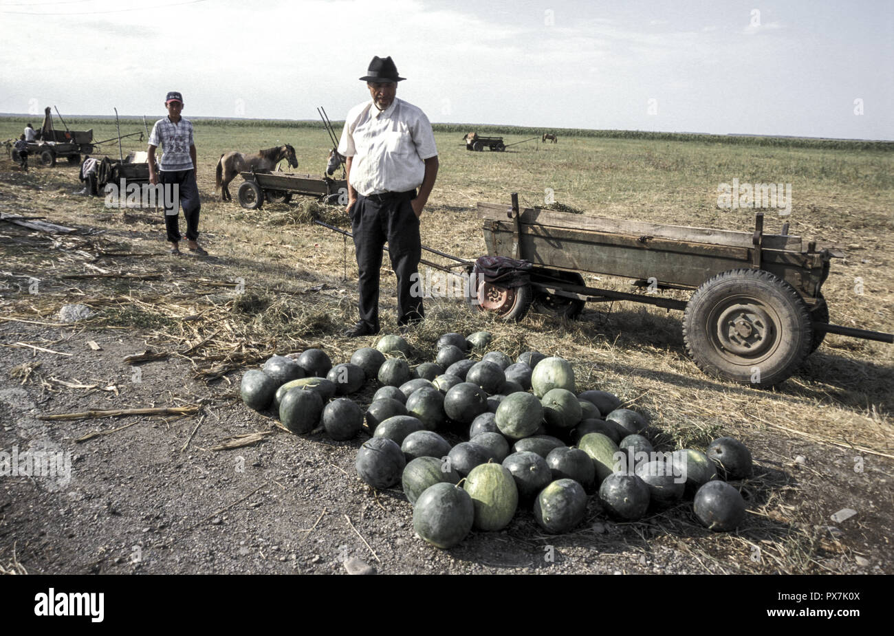 Melon market along country road, Romania, RO diverse, diverse Stock ...