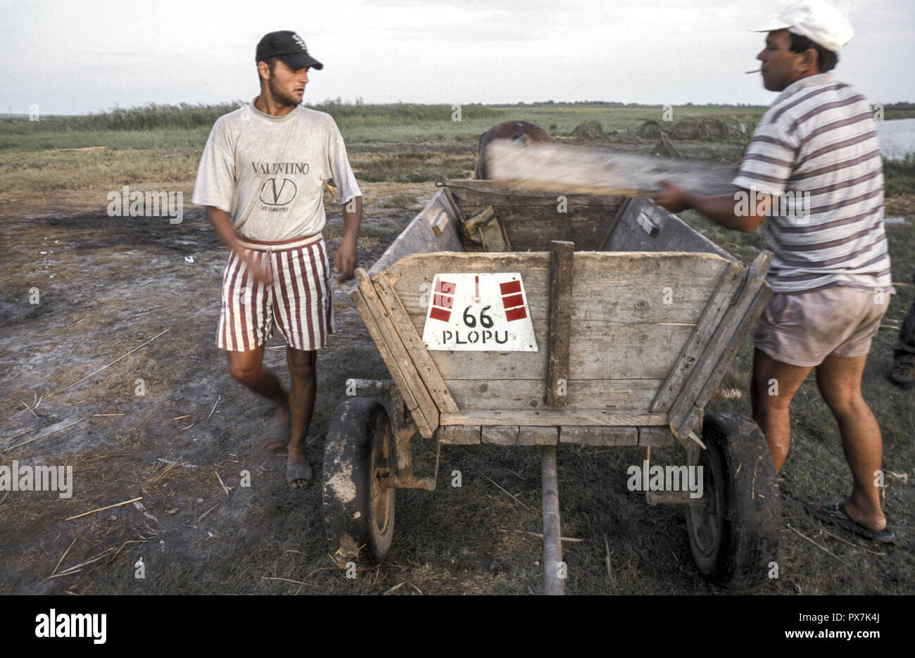 Horse carriage, Romania, Danube Delta, Plopu Stock Photo - Alamy