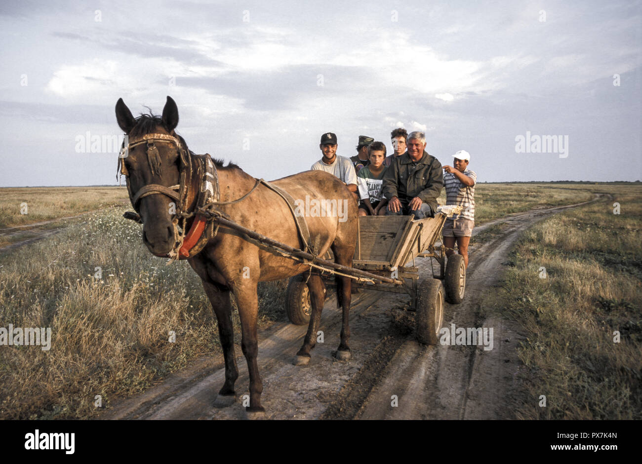 Young people in horse carriage hi-res stock photography and images - Alamy