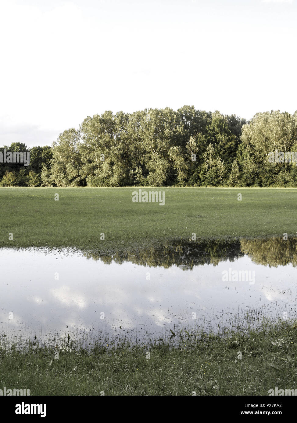 Pasture, flooding, Austria, Lower Austria, Danube area, Orth, Danube ...