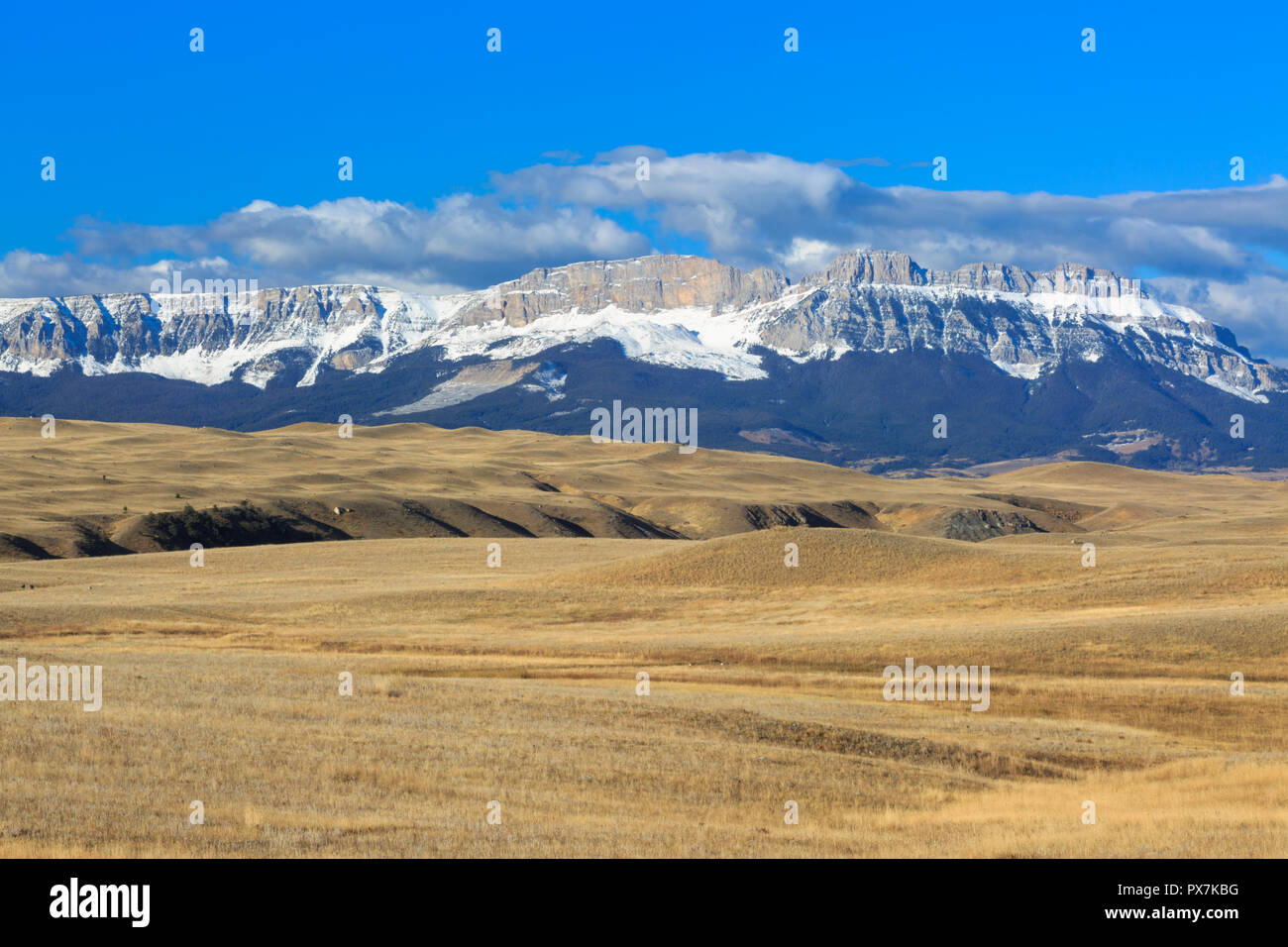 Grassland scenery hi-res stock photography and images - Alamy