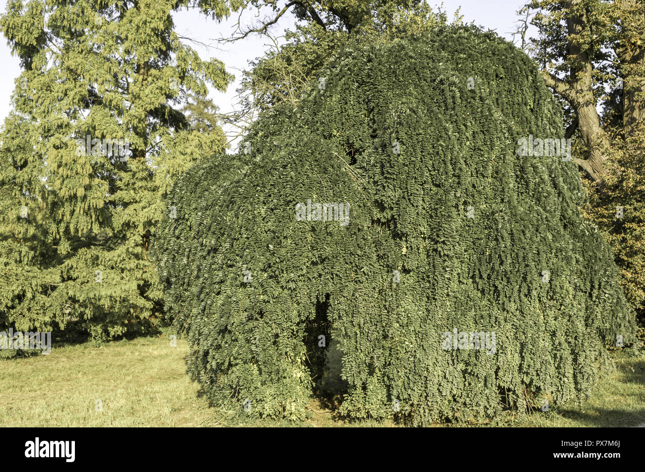 UNESCO World Heritage, Lednice, landscape garden, Czech Republic ...