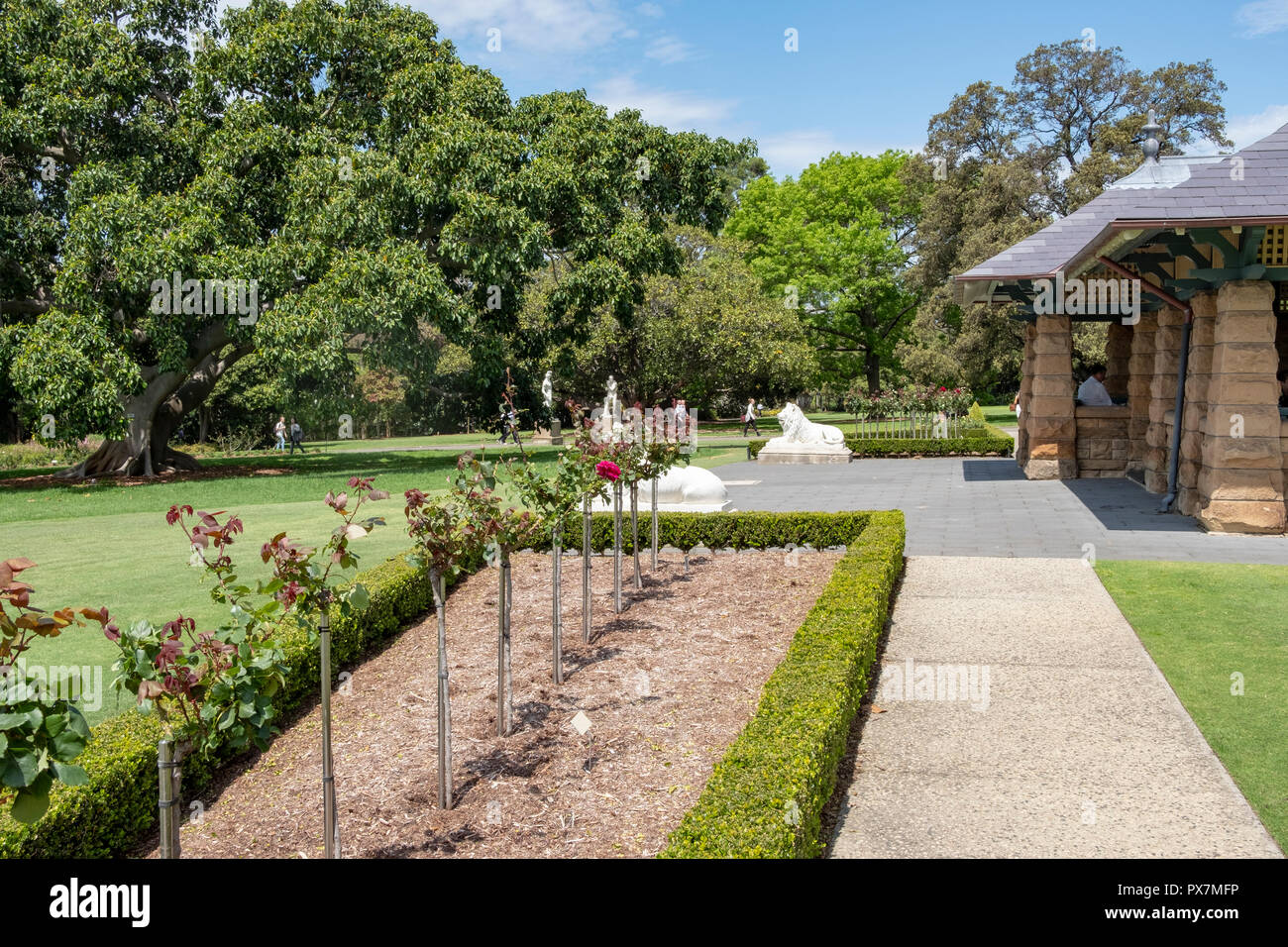 Royal Botanic Garden in Sydney city centre and the Palace Rose Garden ...