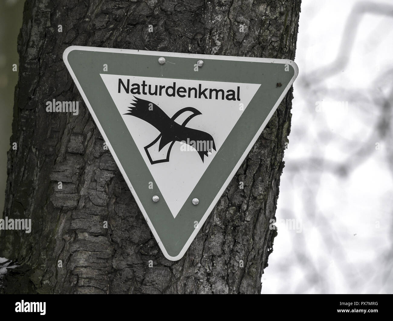 Sign natural monument on a tree Stock Photo - Alamy