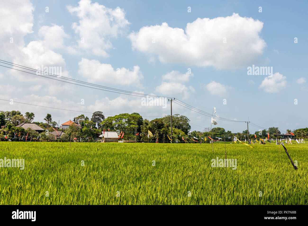 Rice fields, houses of Balinese village, clouds. Rural landscape, Bali ...