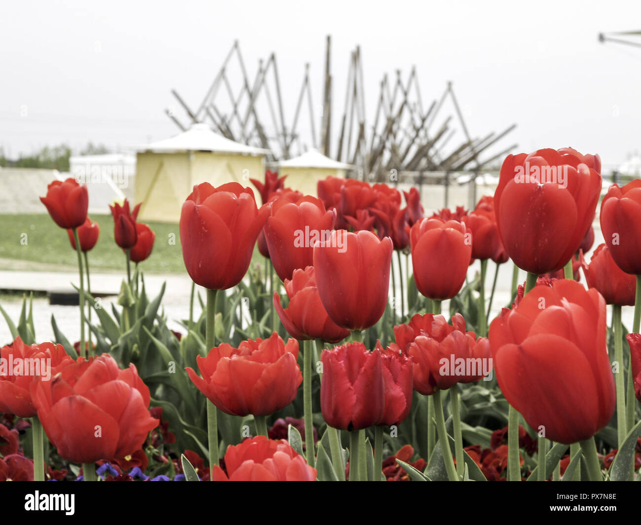 BUGA 2005, Federal Garden Exhibition 2005 Munich, Bundesgartenschau ...