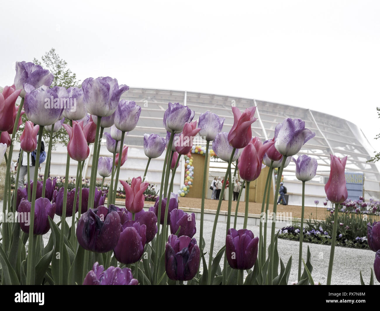 BUGA 2005, Federal Garden Exhibition 2005 Munich, Bundesgartenschau ...