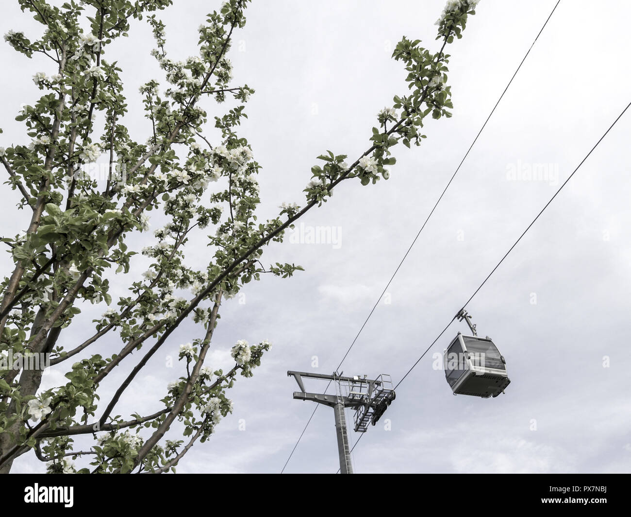 BUGA 2005, Federal Garden Exhibition 2005 Munich, Bundesgartenschau ...