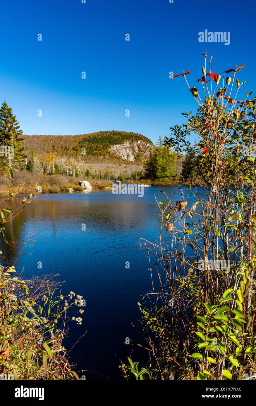 Vermont pond and fall trees hi-res stock photography and images - Alamy