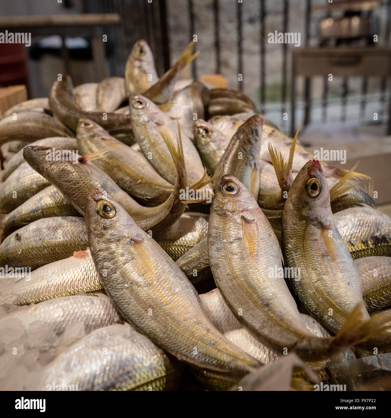 Fresh Fish at Capo Produce Market, Palermo, Sicily Stock Photo - Alamy