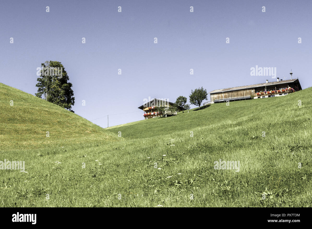 Traditional farm, Austria, Tyrol, Wildschoenau Stock Photo - Alamy