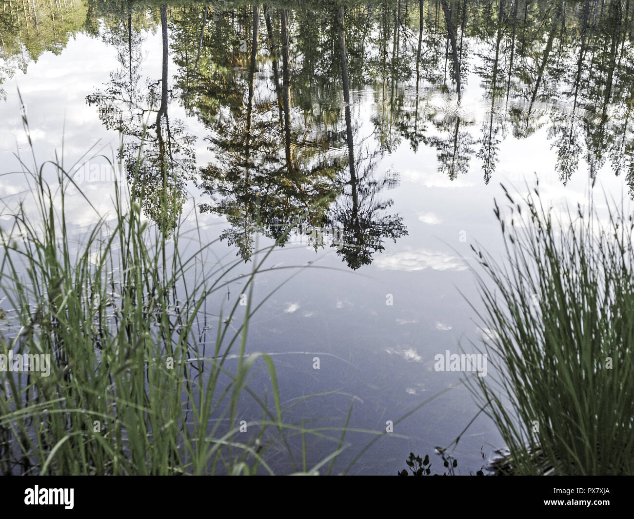 Finland lemmenjoki national park hi-res stock photography and images ...