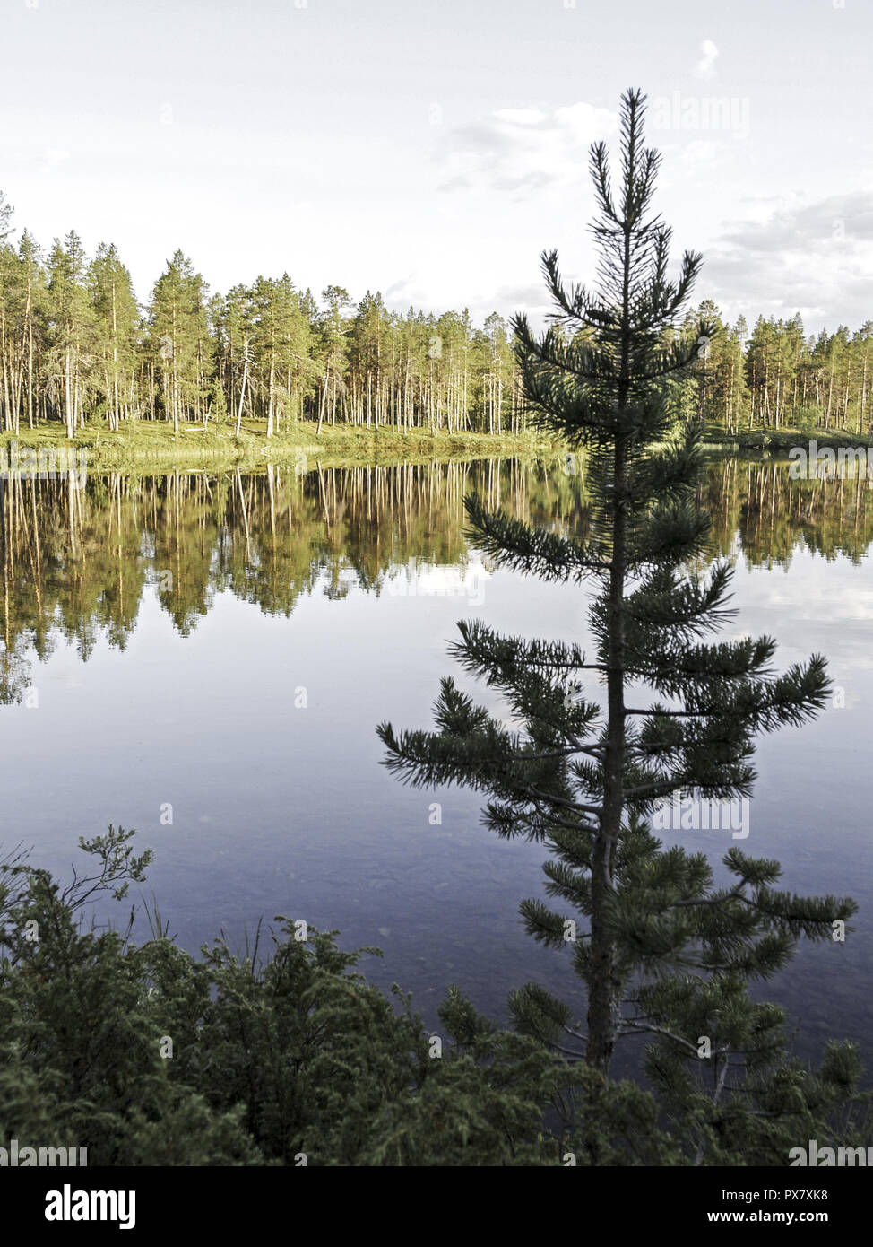 Finland lemmenjoki national park hi-res stock photography and images ...