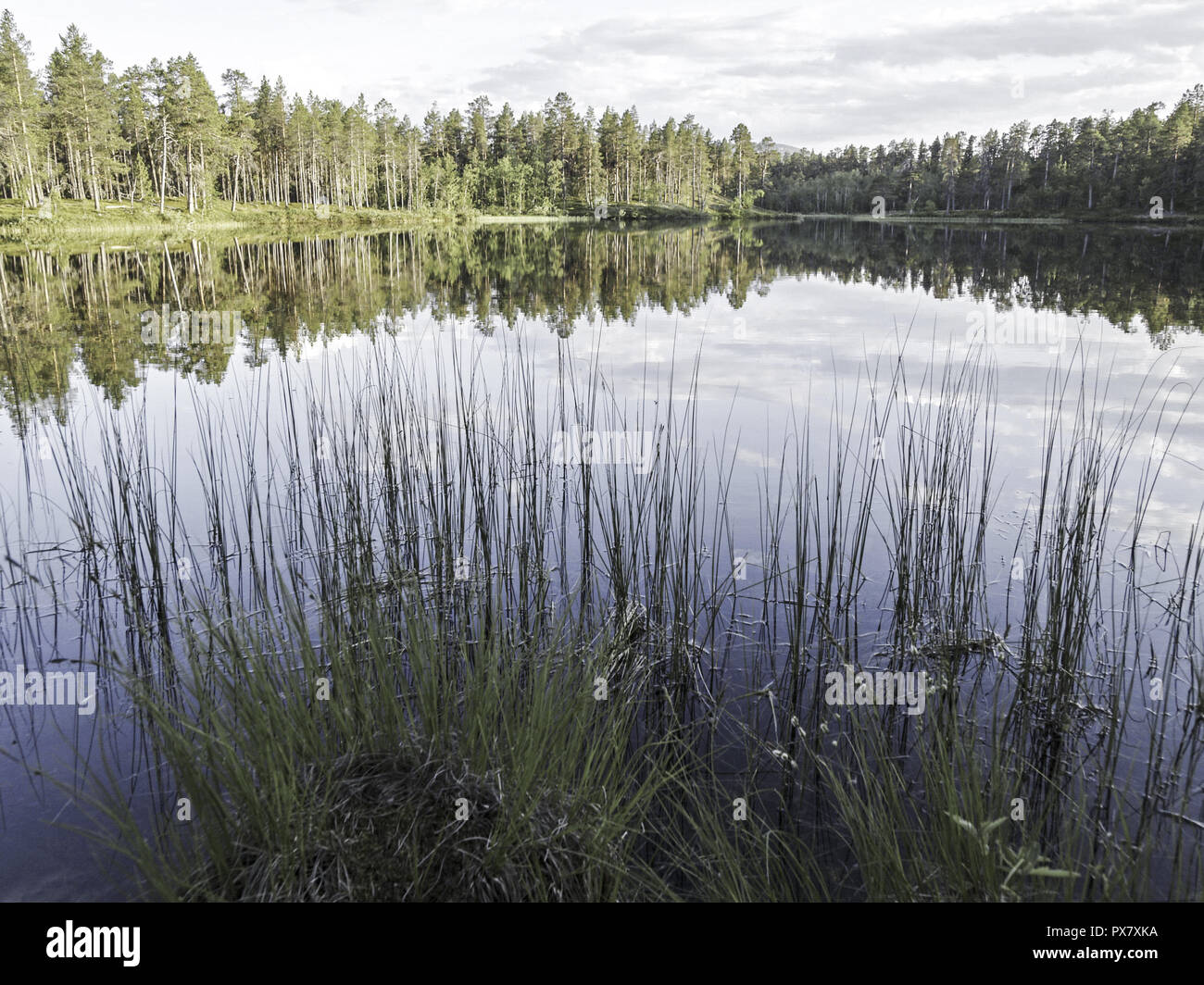Lemmenjoki national park, Finland, Lapland, Lemmenjoki Stock Photo - Alamy