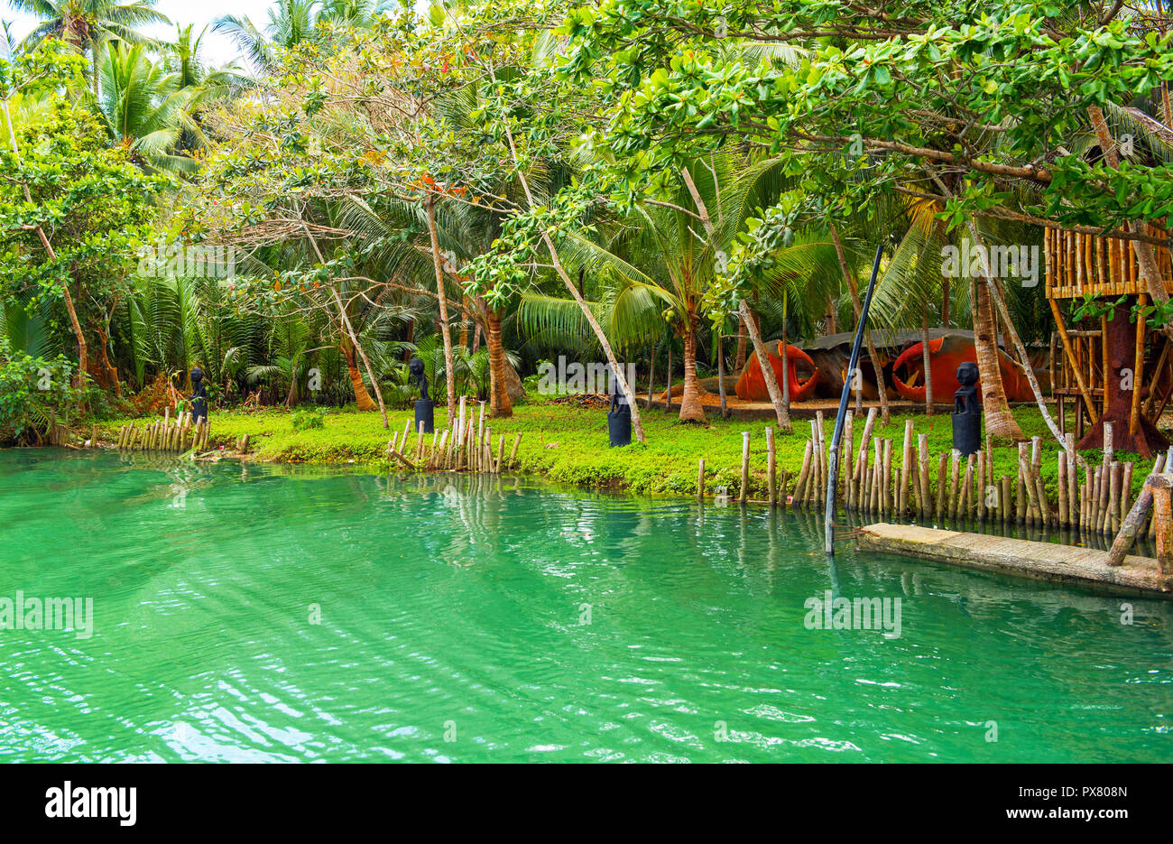 View of the river landscape, Bohol island, Philippines. Copy space for ...