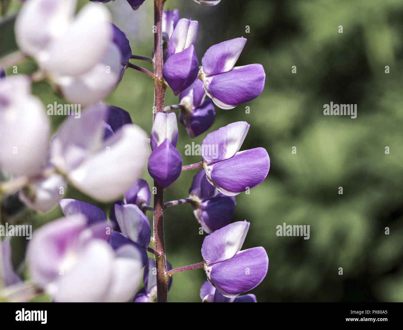 Soedermanland hi-res stock photography and images - Alamy
